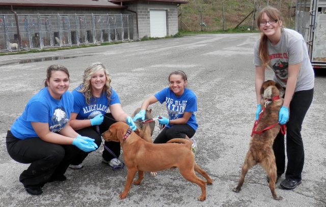 For the Least of These: How ALC is Making a Difference in the Lives of ...